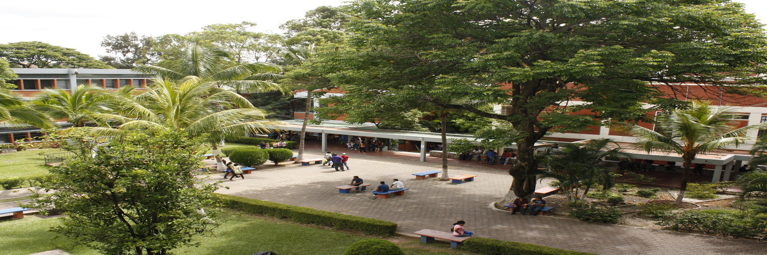 Programa de Educación Virtual - UPNFM